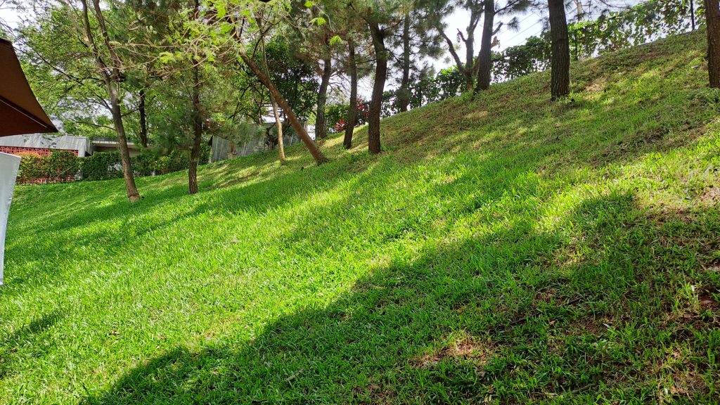 Paradesa Park, Menikmati Ciliwung dari Sisi yang Lain - Lantang.ID ...